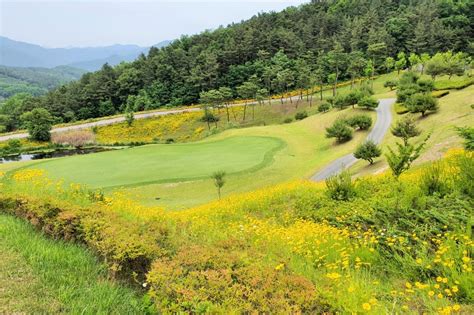 클럽디 속리산 ☞ 자연의 순수함이 잘 보존된 지역 네이버 블로그