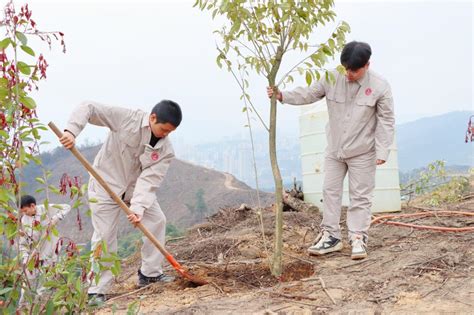 我校师生参加涪陵区2023年春季义务植树活动 重庆工贸职业技术学院