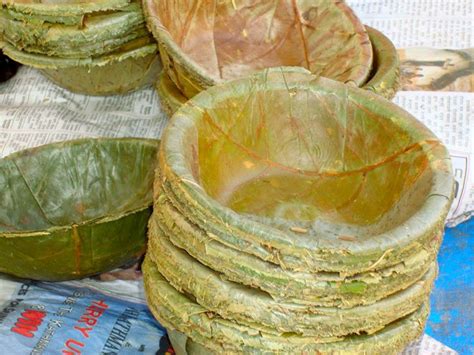 Taste Of Nepal Leaf Plates Of Nepal Tapari Duna Bota Leaf Plates