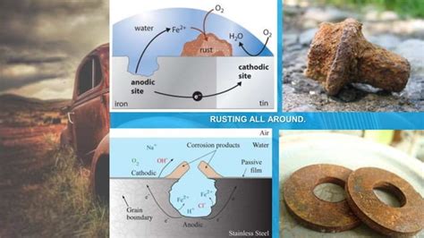 Project On Effect Of Metal Coupling On Rusting Of Iron Pptx Nail