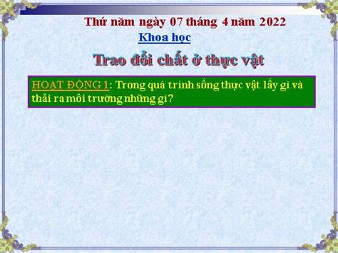 Bài 61 Trao đổi chất ở thực vật Khoa học 4 Hoàng Hữu Thành Thư