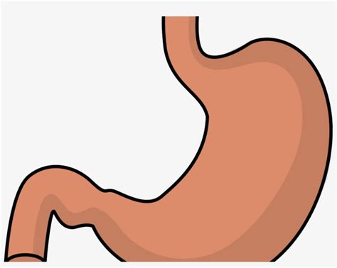 Free Tummy Cliparts Download Free Tummy Cliparts Png Images Free