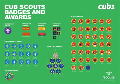 Cubs Badges 1st Kirkham And Wesham Scout Group