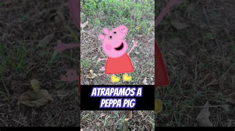 Atrapamos A Peppa Pig YouTube