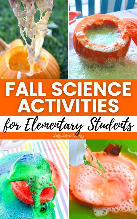 Elementary Science Activities