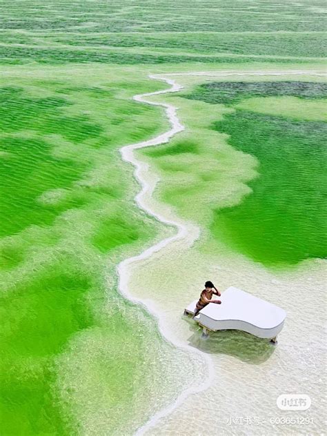 翡翠湖 花瓣网