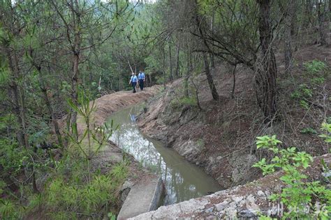 大悟夏店村：荒废水渠通水啦！灌溉大悟县村民