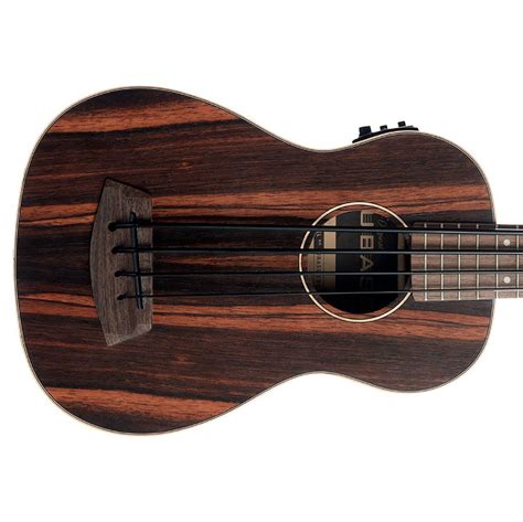 Kala Striped Ebony Fretted Acoustic Electric U•bass® Bass Direct