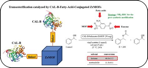 Merging Mof Chemistry And Biocatalysis A Perspective For Achieving