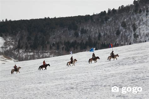Хамгийн хурц хараатай эрэмгий дайчин бүргэдийг гаршуулсан эрс