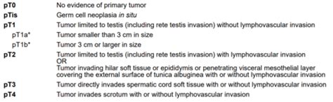 Testicular Flashcards Quizlet