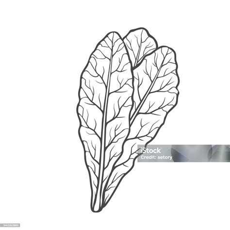 Dinosaur Kale Outline Icon Stock Illustration Download Image Now