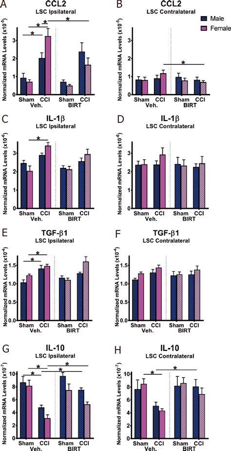 Lfa 1 Antagonist Birt377 Similarly Reverses Peripheral Neuropathic