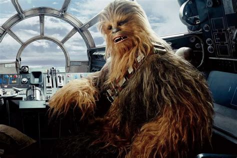Chewbacca Ya Tiene Un Co Piloto Para El Millennium Falcon La Tercera