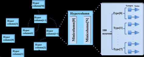 The Modular Structure Of The Cortex Emulator The Basic Building Block Download Scientific