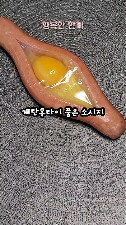 간단하게 맛있게후랑크 소시지소시지 구이 계란후라이 소시지 Youtube