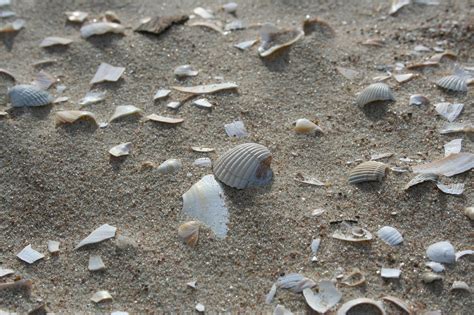 모래 해변 자연 Pixabay의 무료 사진 Pixabay