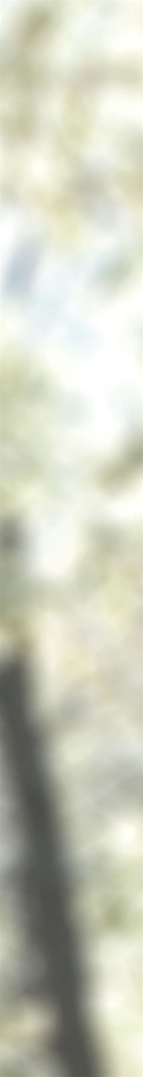 1152x8640 Resolution Emma Watson Long Hair Pic 1152x8640 Resolution