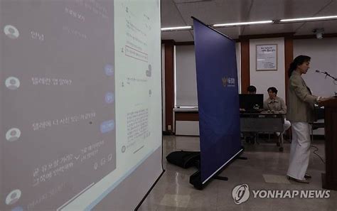 서울경찰청 사이버 성폭력 사범 검거