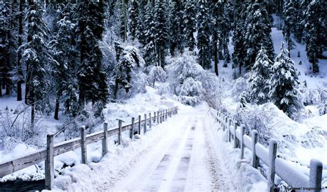 Falling Snow Wallpapers Top Free Falling Snow Backgrounds