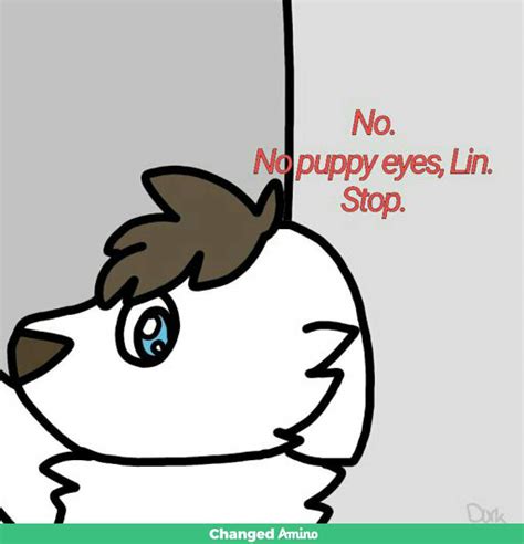 Lin Changed Amino