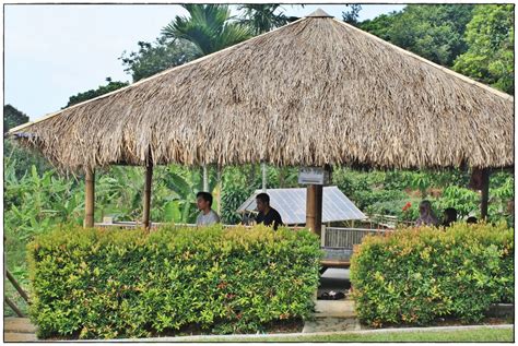 Camping Bersama Di Alang Alang Nature Camp