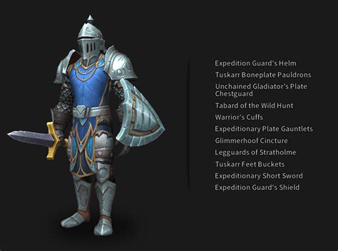 Dragonflight Transmog Contest Expedition Knight Rtransmogrification