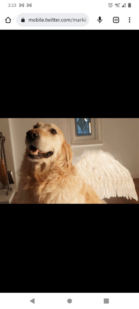 Its Chicas Birthday Happy Big Ass Birthday To The Goodest Girl R