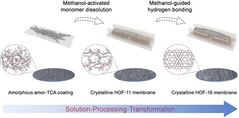 In Situ Transformation Of An Amorphous Supramolecular Coating To A