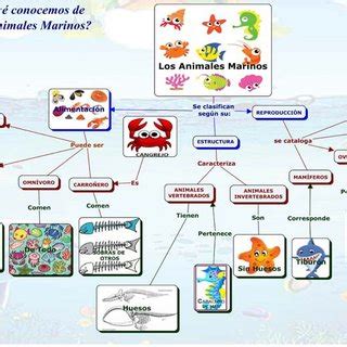 Mapas Conceptuales Para NiÃos De Preescolar bankfeal