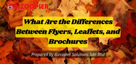What Are The Differences Between Flyers Leaflets And Brochures Ricoh Copier Supplier In