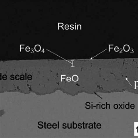 Cross Sectional Be Image Of Oxide Scale Formed On Steel Substrate 2