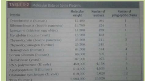 Protein Classificationpptx