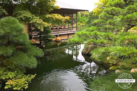 【島根】秘密にしておきたい名園！大根島にある由志園｜scent Of Life Discovery