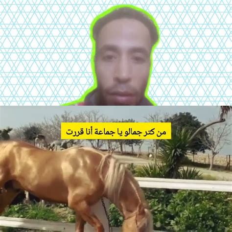 احلى حصان ممكن تشوفه في حياتك Youtube