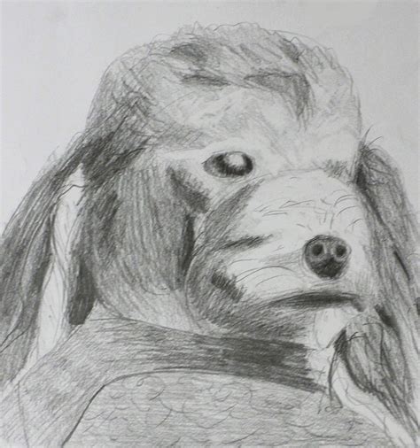 Nick Byron On Behance