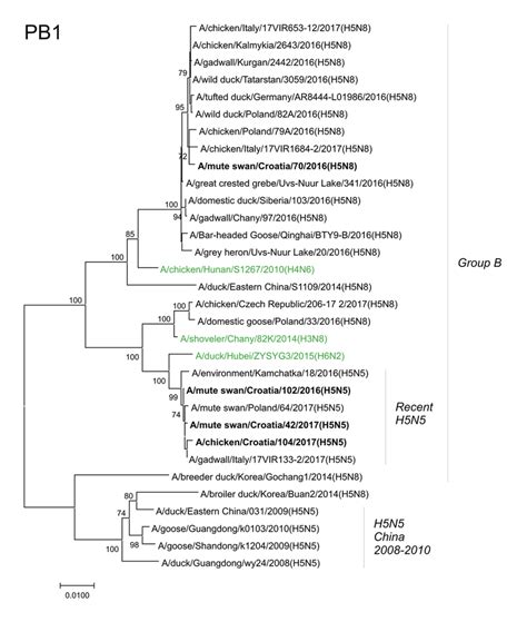 Phylogenetic Analysis Of Polymerase Basic 1 Pb1 Gene Segment For