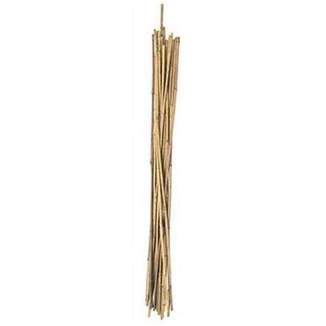 6 Foot Bamboo Stakes