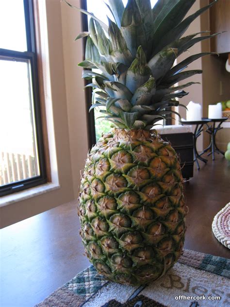 Tuesday Tip Pineapple Core Uses Food Embrace