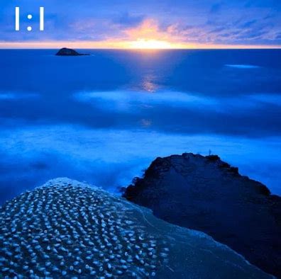 Phone Aspect Ratio Vertical Definition Types Tips