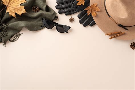 가을 테마의 의상 컨셉입니다 챙이 달린 펠트 모자 가죽 장갑 세련된 안경 세련된 스카프 나뭇잎 아니스 계피 흰색 배경에 솔방울 텍스트 또는 광고를 위한 빈 공간의 상단 보기