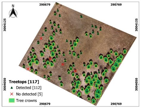 Remote Sensing Special Issue Individual Tree Detection And Characterisation From Uav Data