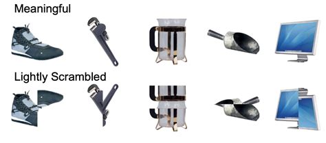 Visual Long Term Memory Is Massive But Only If The Memories Are Meaningful Psychonomic