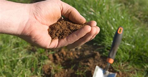 How To Perform A Soil Test And Why You Need One Davey Blog Davey