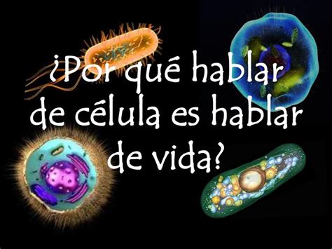 Célula Unidad Fundamental De Los Seres Vivos Dejesus Udocz