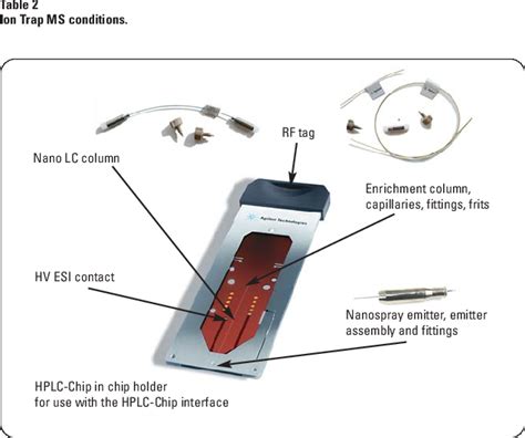 Design Of The Protein Id Chip The Different Elements Necessary For