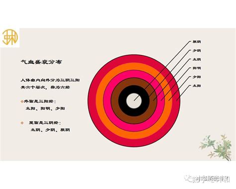 冲和解密伤寒论六经之 太阳 知乎