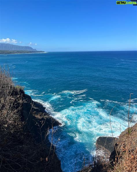 Coco Christo Wiki Biography Age Gallery Spouse And More