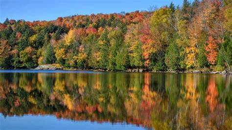 Syracuse Recognized As A Tree City Of The World