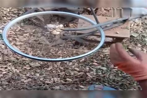 农村大叔自制摘花生神器组装简单又好用是个人才 组装 花生 神器